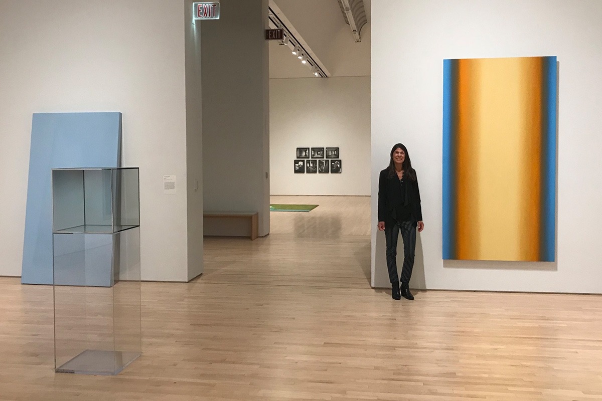 Ruth Pastine, SFMOMA, Witness 5, contemporary art, oil painter
